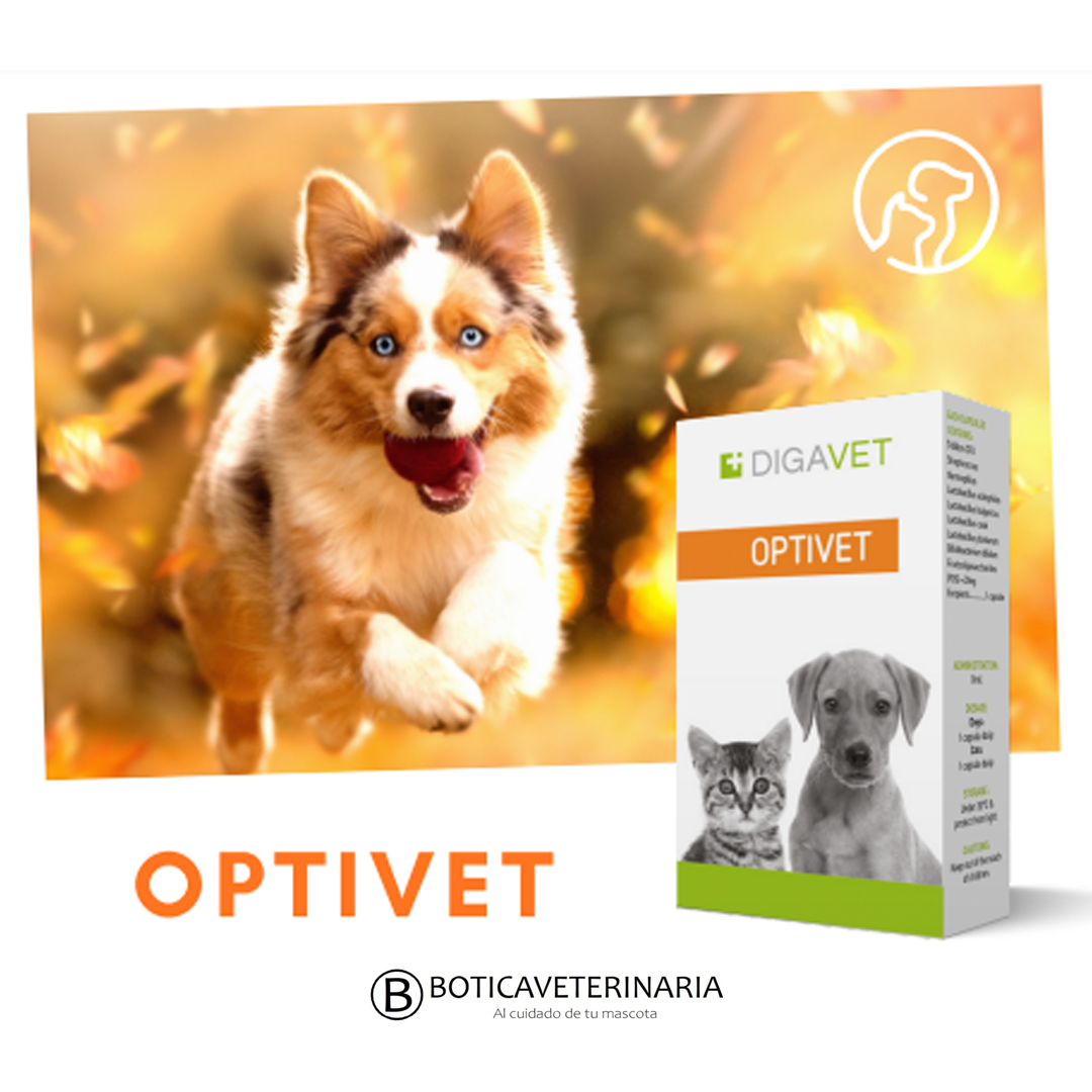 Web_def – Boticaveterinaria